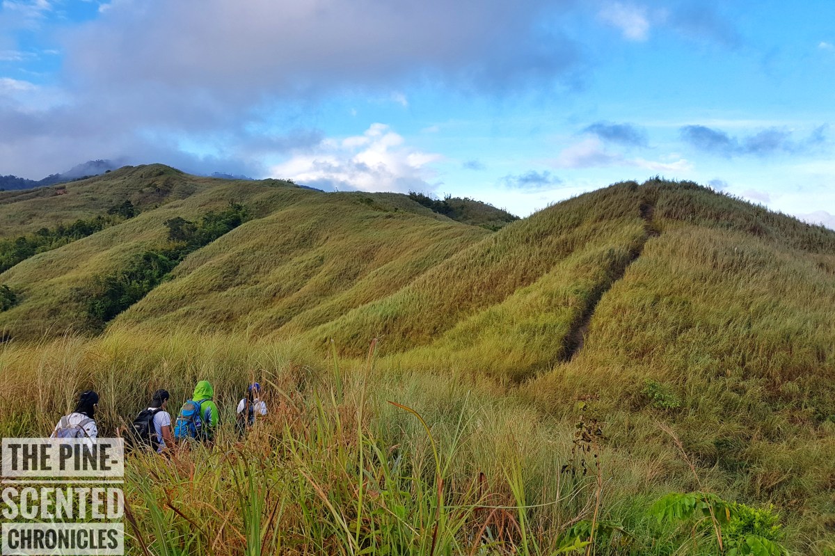 Weekend Warrior Tales: Mt. Maynoba Circuit – The Pine-Scented Chronicles