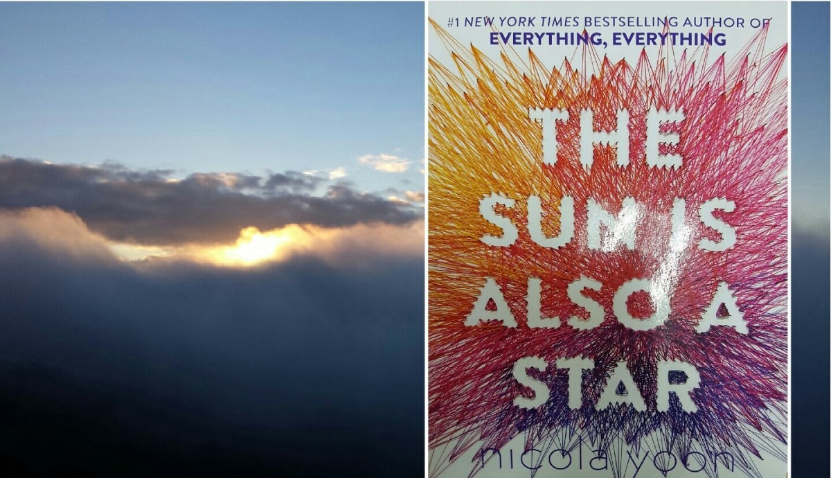 Book Review # 1: The Sun is Also a Star – The Pine-Scented Chronicles