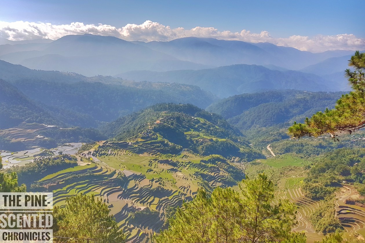 Glimpses: The Hungduan Rice Terraces, A UNESCO Heritage Site – The Pine ...