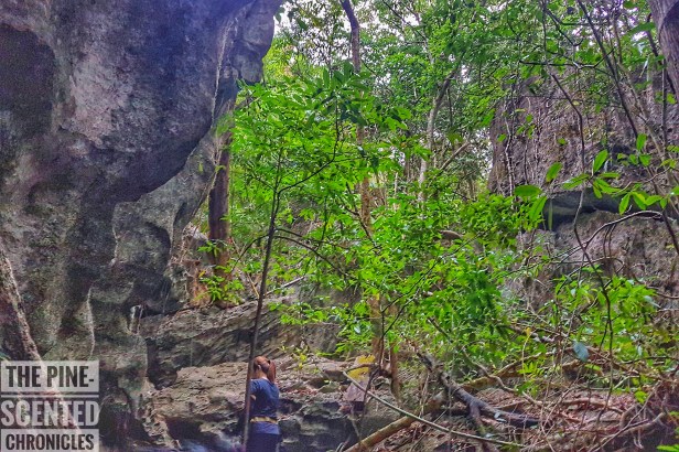 Got Funky In Mt. Masungki – The Pine-Scented Chronicles