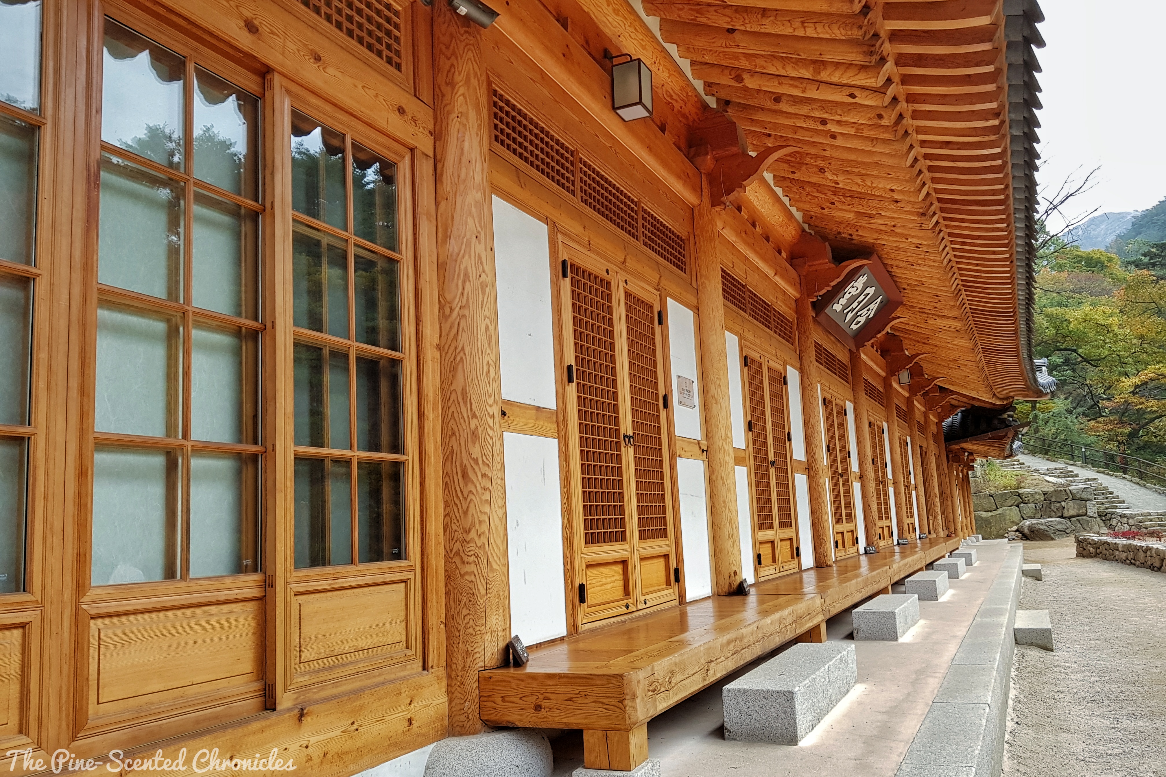 The Korean Ahjumma – The Pine-Scented Chronicles