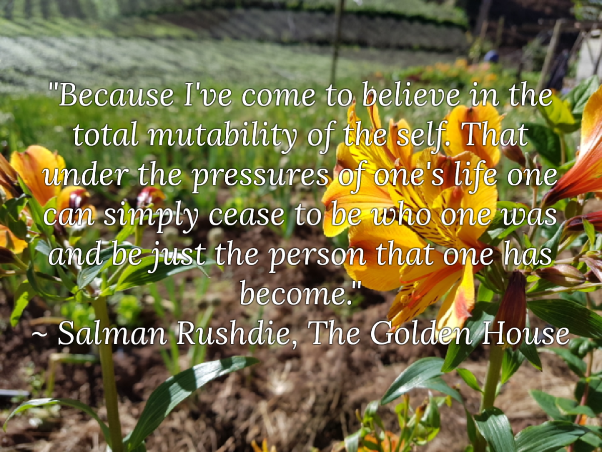 Book Review # 34: The Golden House – The Pine-Scented Chronicles
