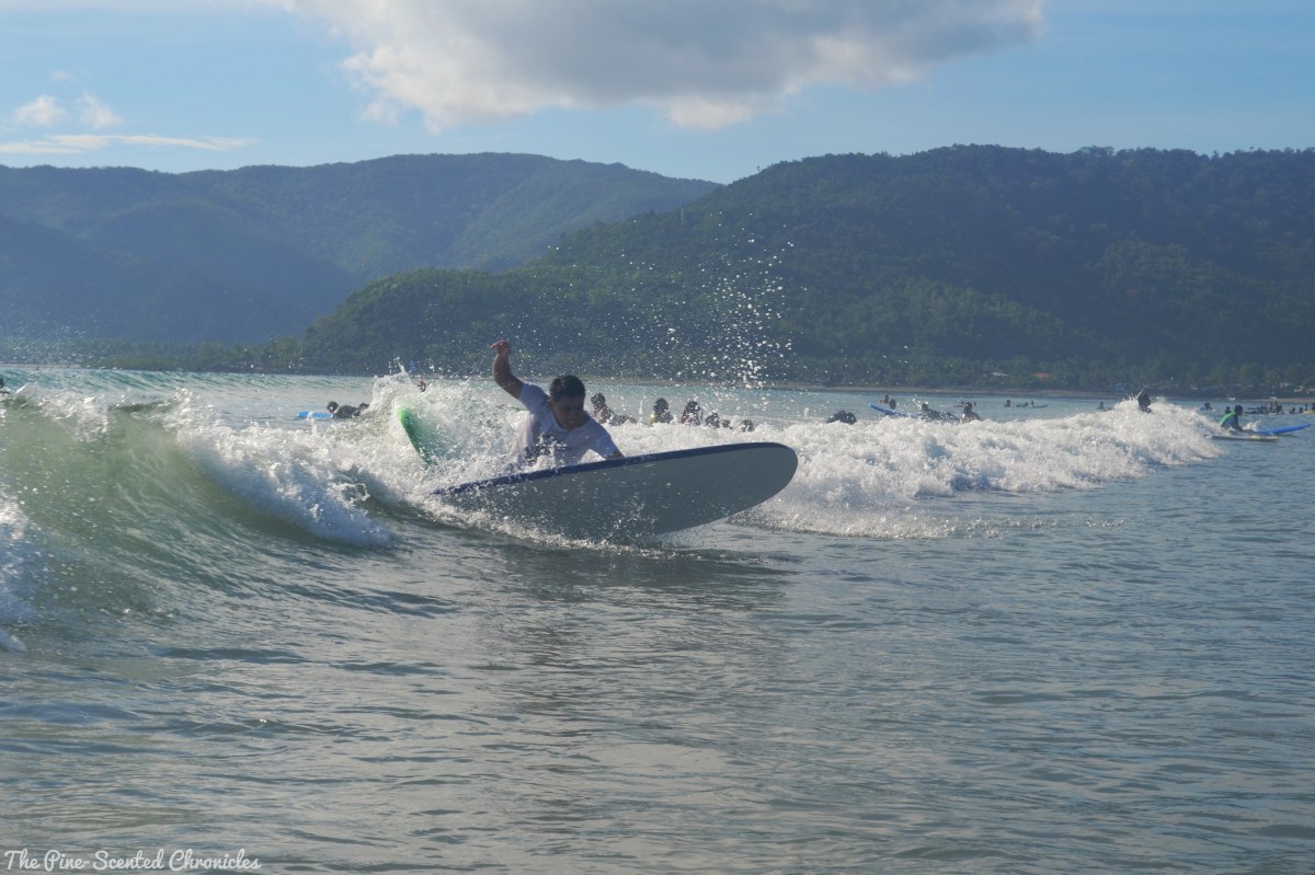 The Summer I Learned To Ride The Waves – The Pine-Scented Chronicles