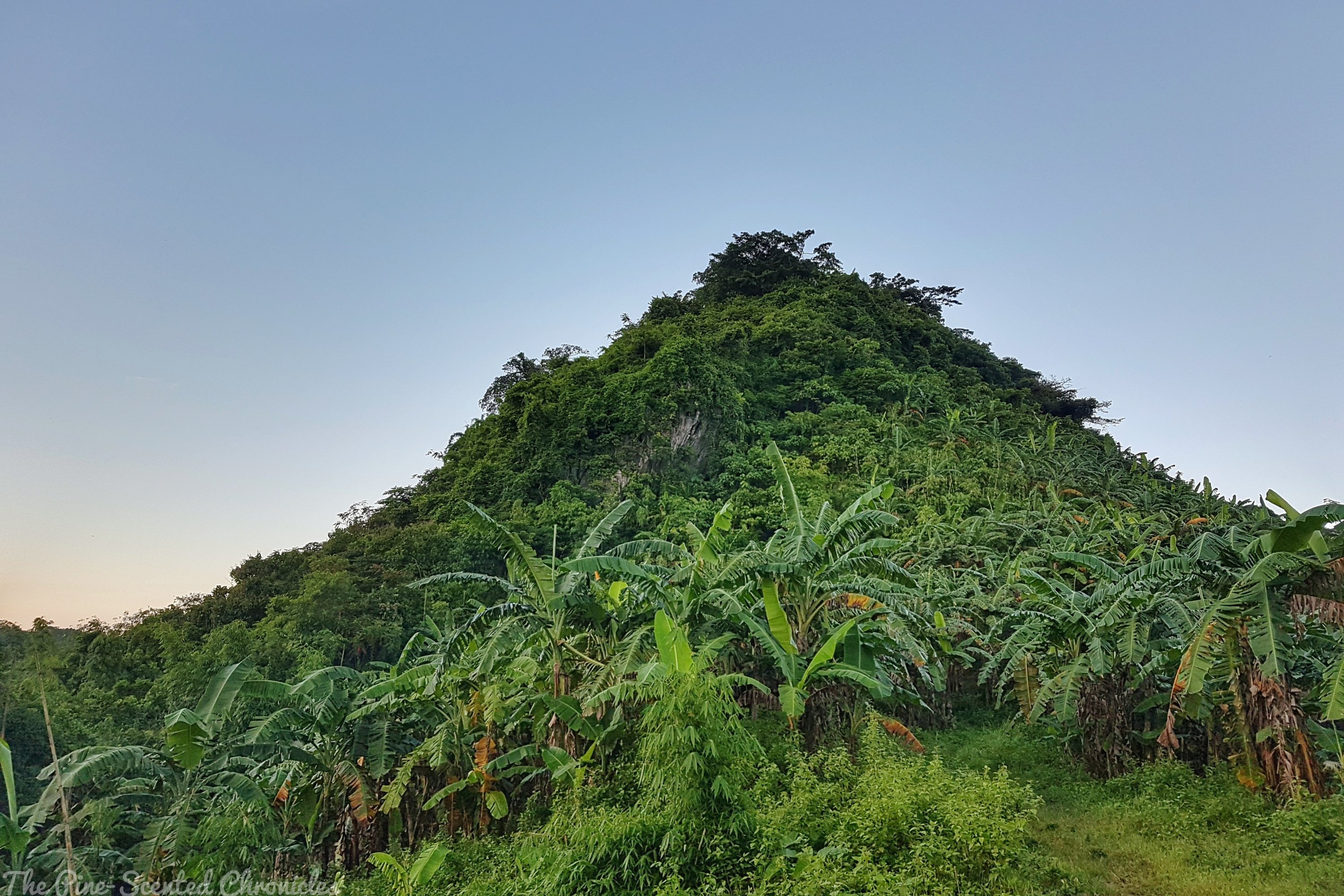 Open Trail Challenge: Mascap Seven Peaks – The Pine-Scented Chronicles