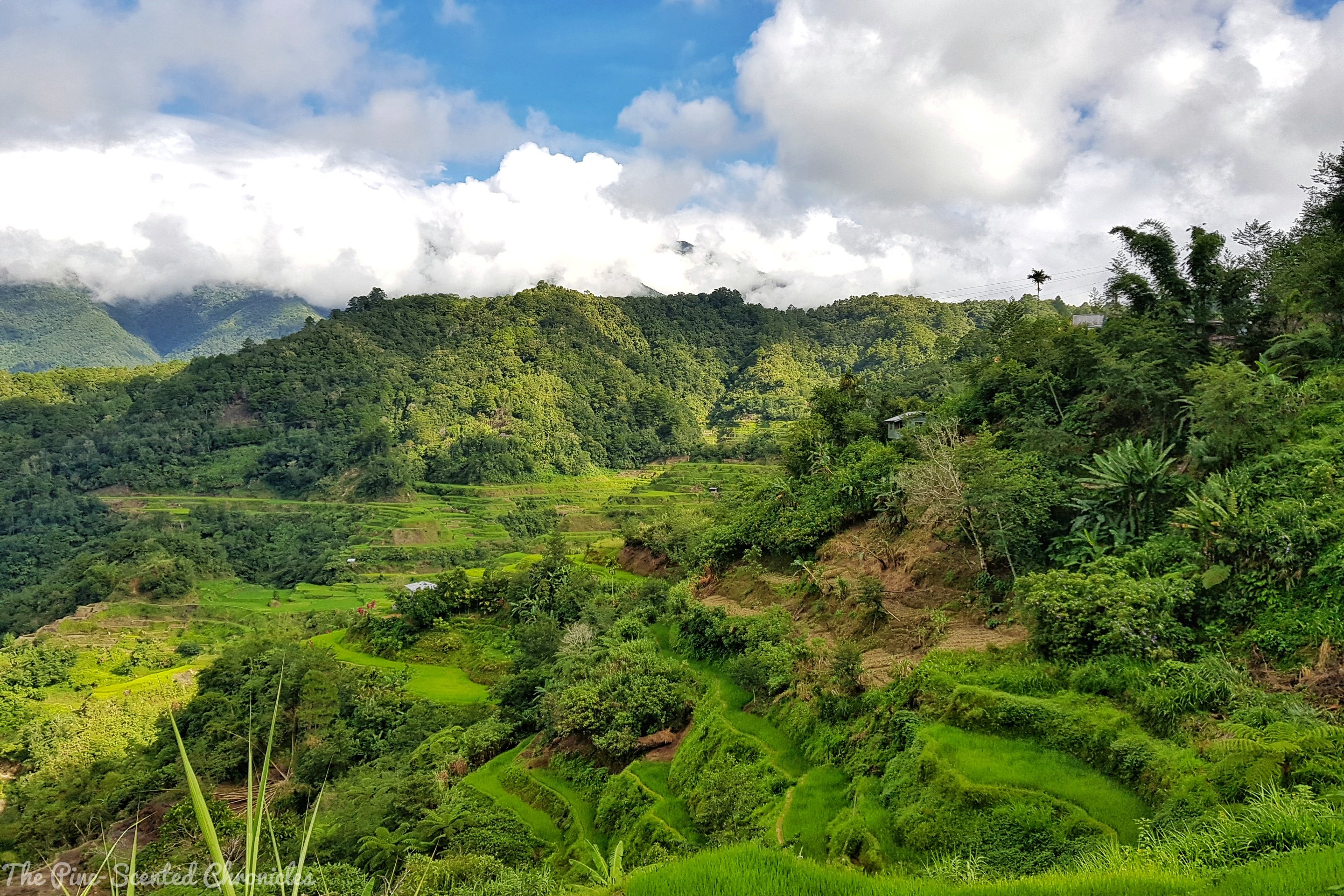 Glimpses: The Hungduan Rice Terraces, A UNESCO Heritage Site – The Pine ...