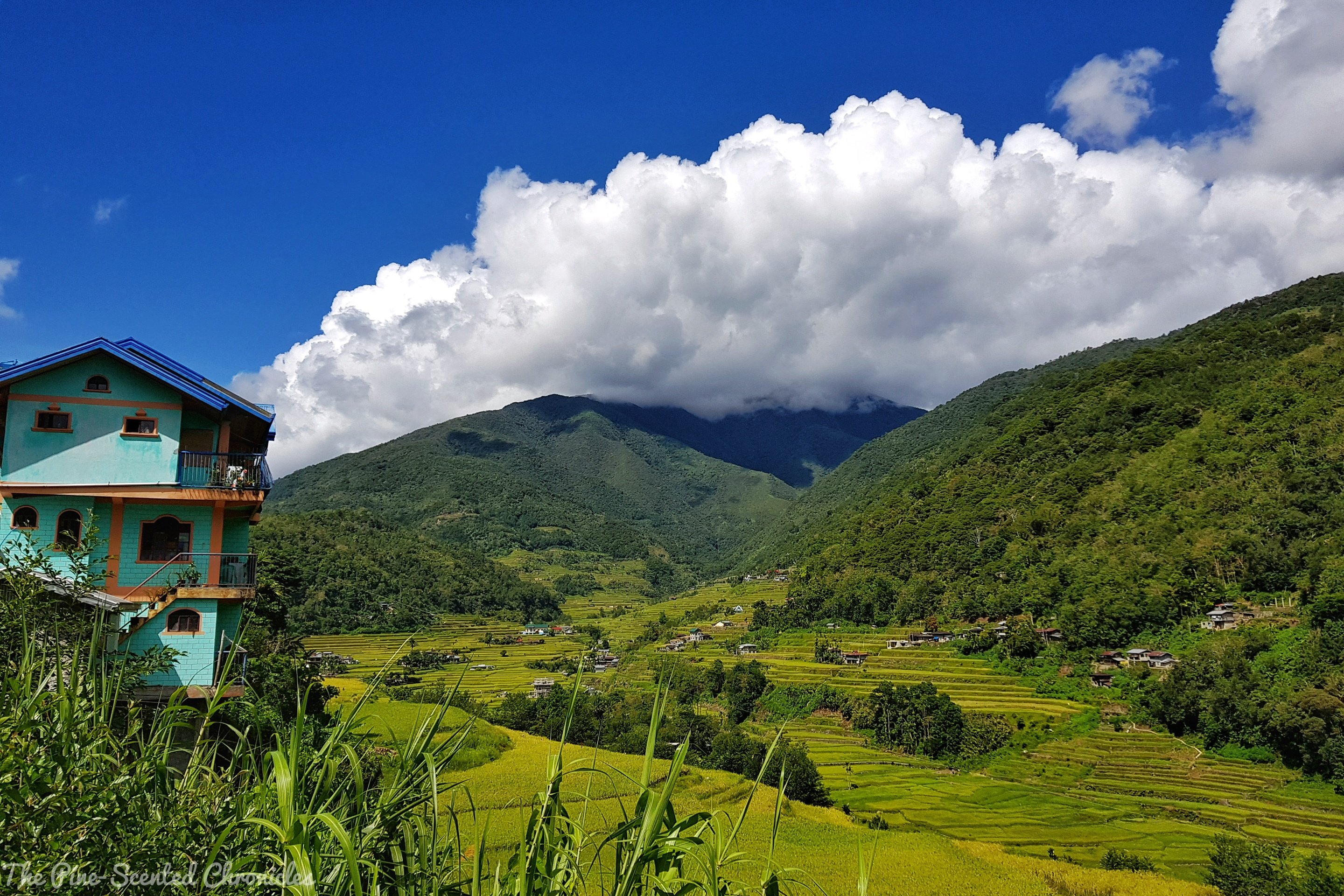 Glimpses: The Hungduan Rice Terraces, A UNESCO Heritage Site – The Pine ...
