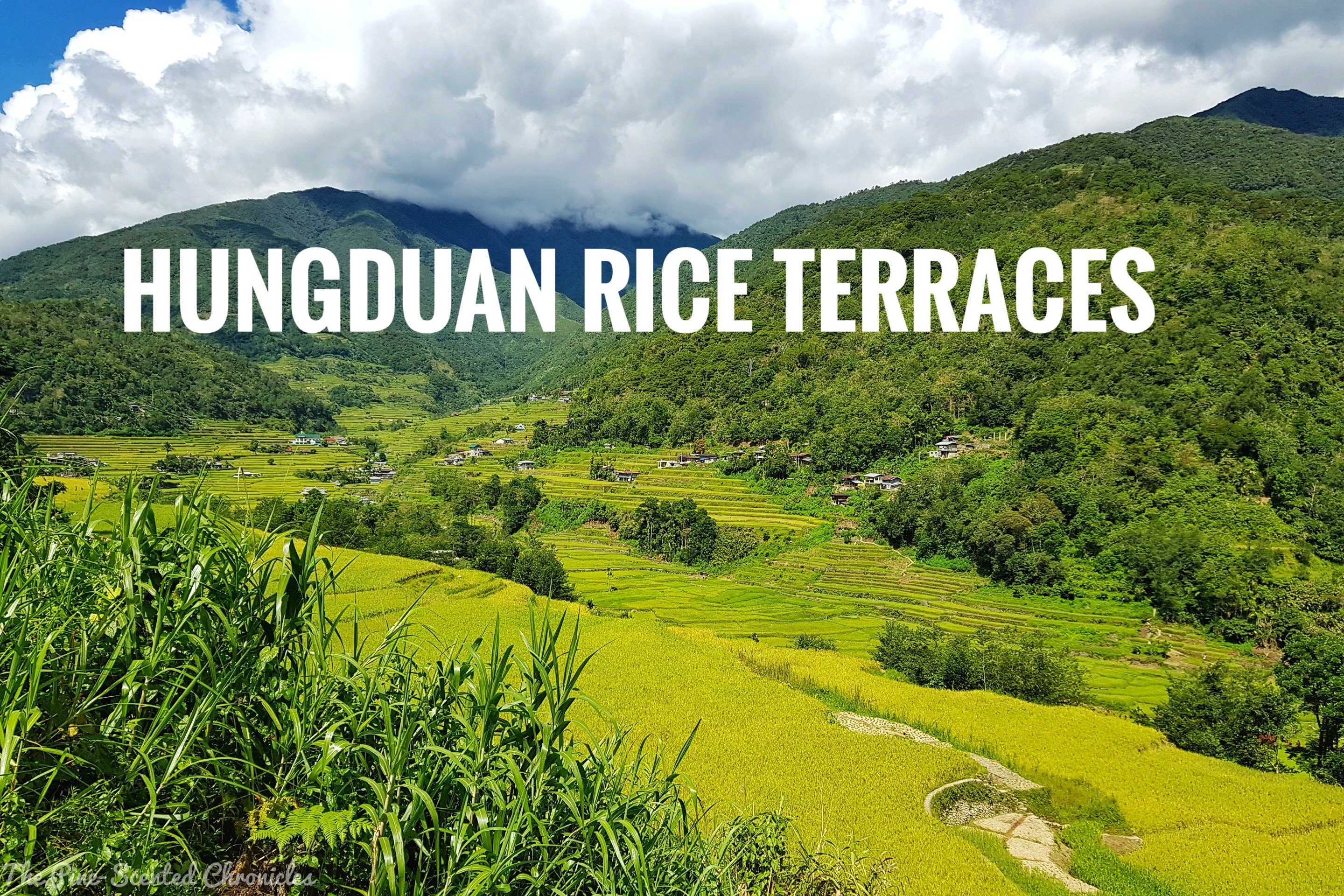 Glimpses: The Hungduan Rice Terraces, A UNESCO Heritage Site – The Pine ...