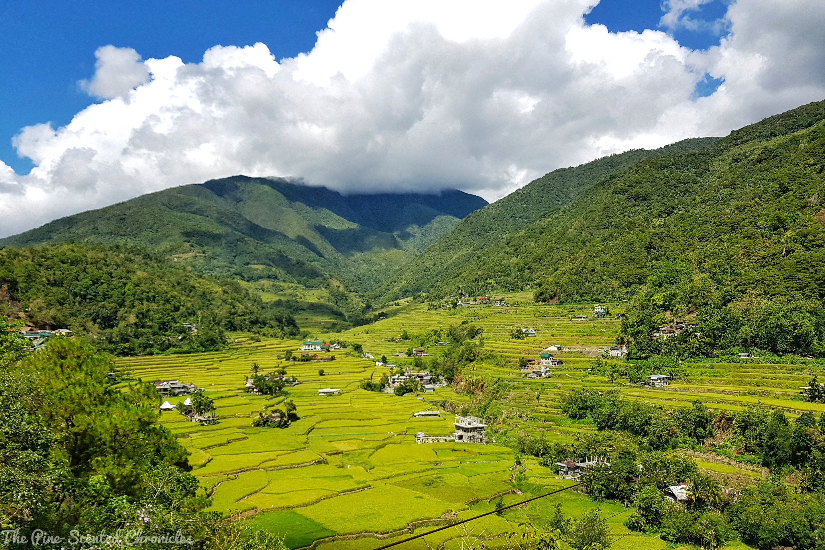 Glimpses: The Hungduan Rice Terraces, A UNESCO Heritage Site – The Pine ...