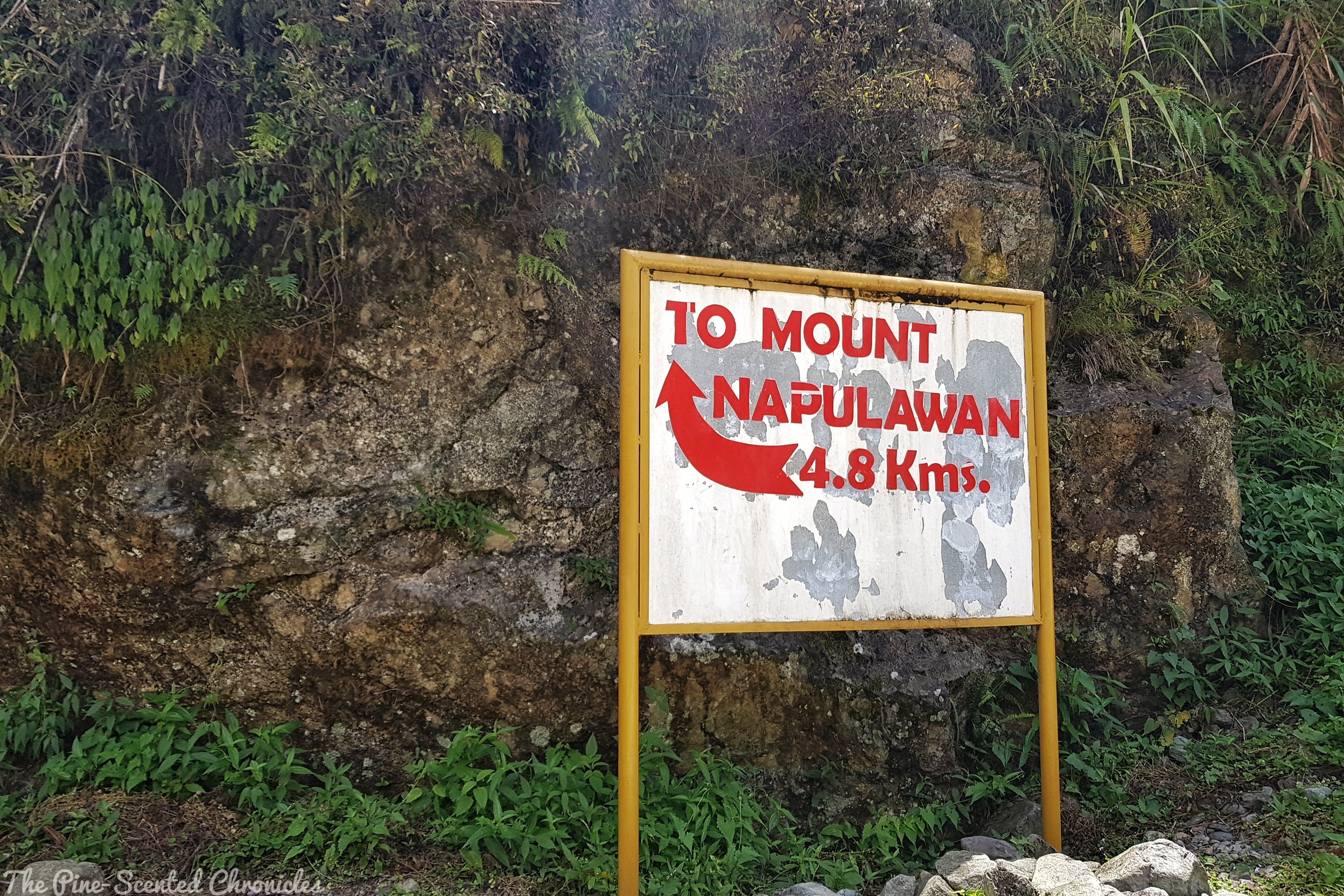 The Great Cordilleran Traverse: Mt. Napulauan, A Bloody Climb – The ...
