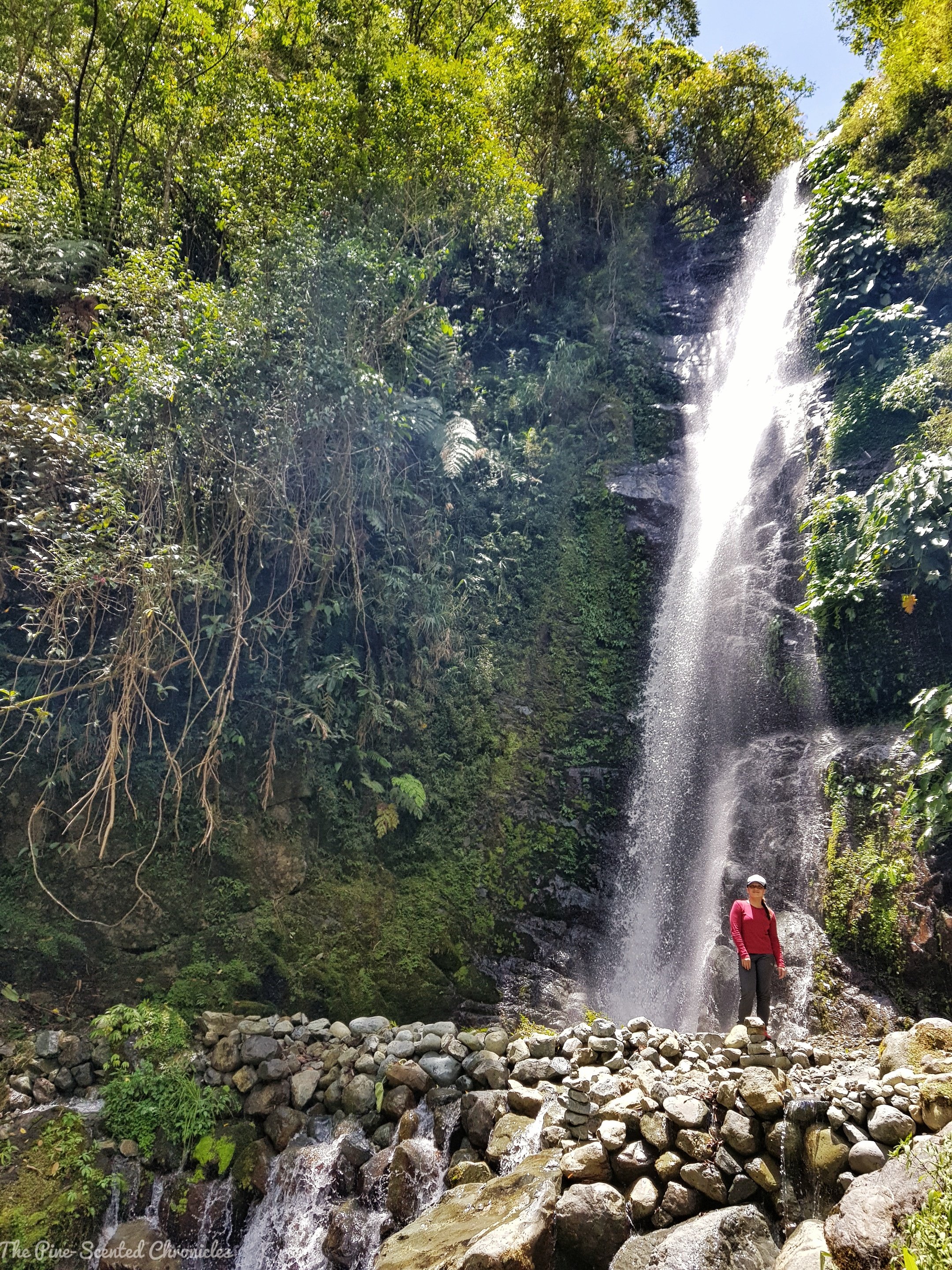 Hungduan Travel Guide – The Pine-Scented Chronicles