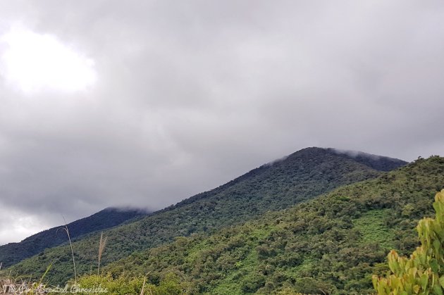 Hiker Board: Mt. Napulauan – The Pine-Scented Chronicles