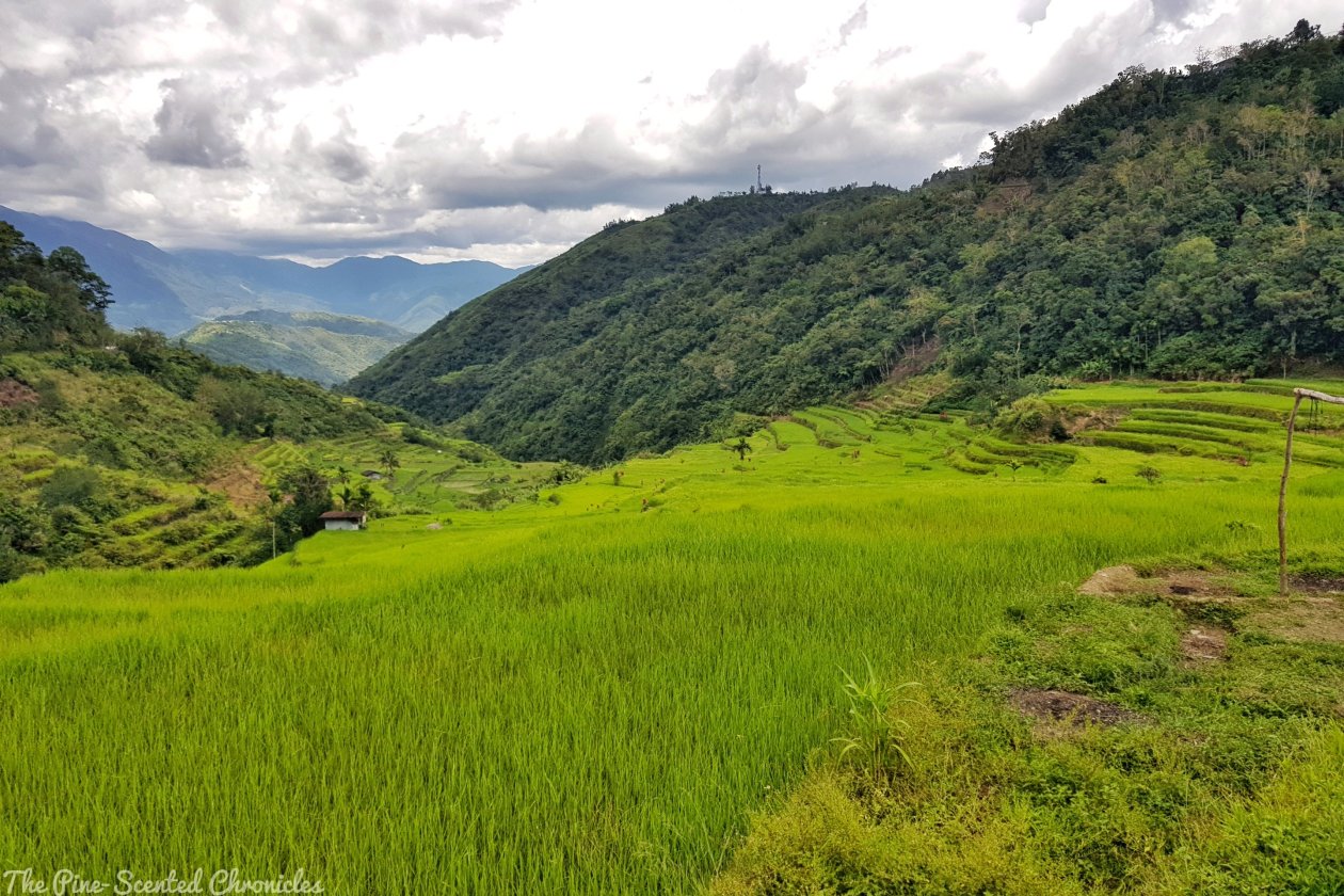 Glimpses: The Hungduan Rice Terraces, A UNESCO Heritage Site – The Pine ...