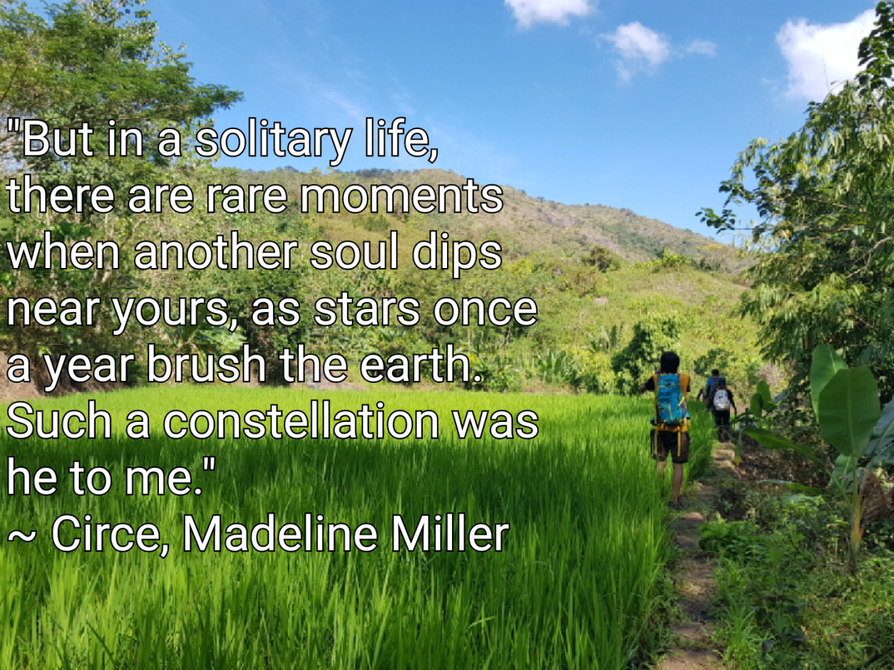 Quotable Quotes # 26: Circe – The Pine-Scented Chronicles