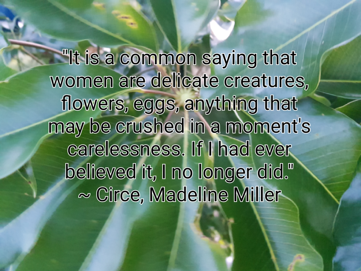 Quotable Quotes # 26: Circe – The Pine-Scented Chronicles