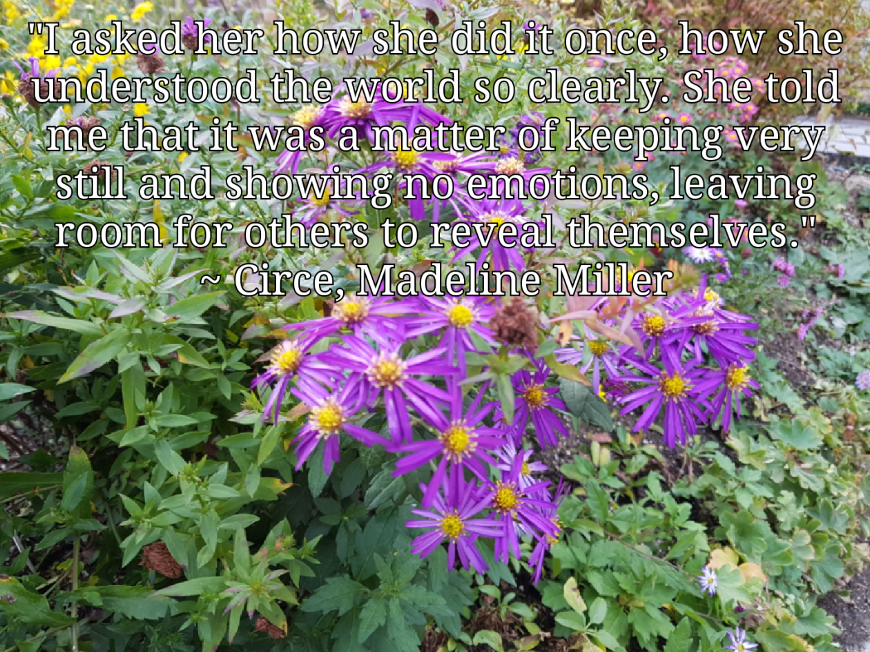 Quotable Quotes # 26: Circe – The Pine-Scented Chronicles