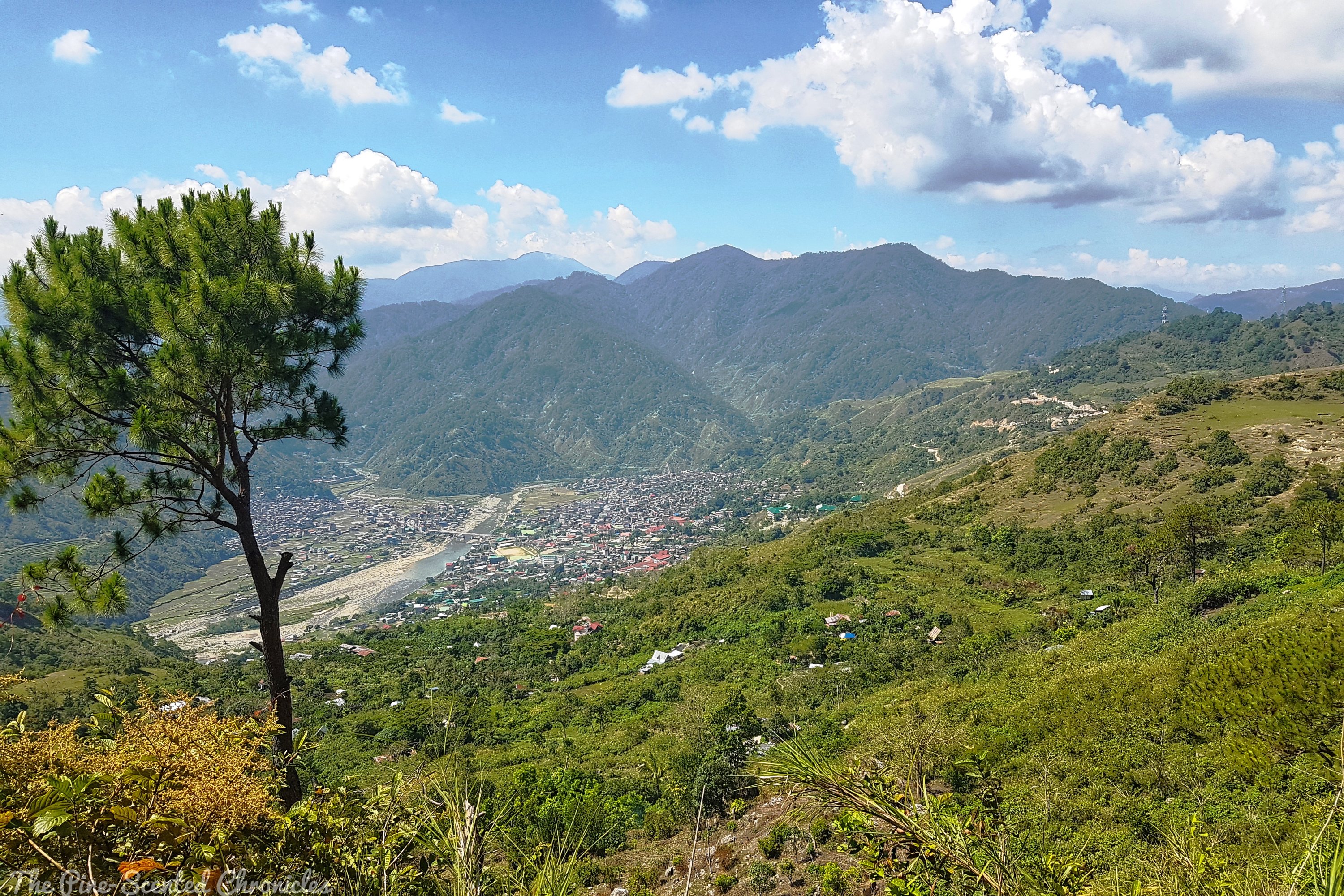The Legend of Bontoc – The Pine-Scented Chronicles