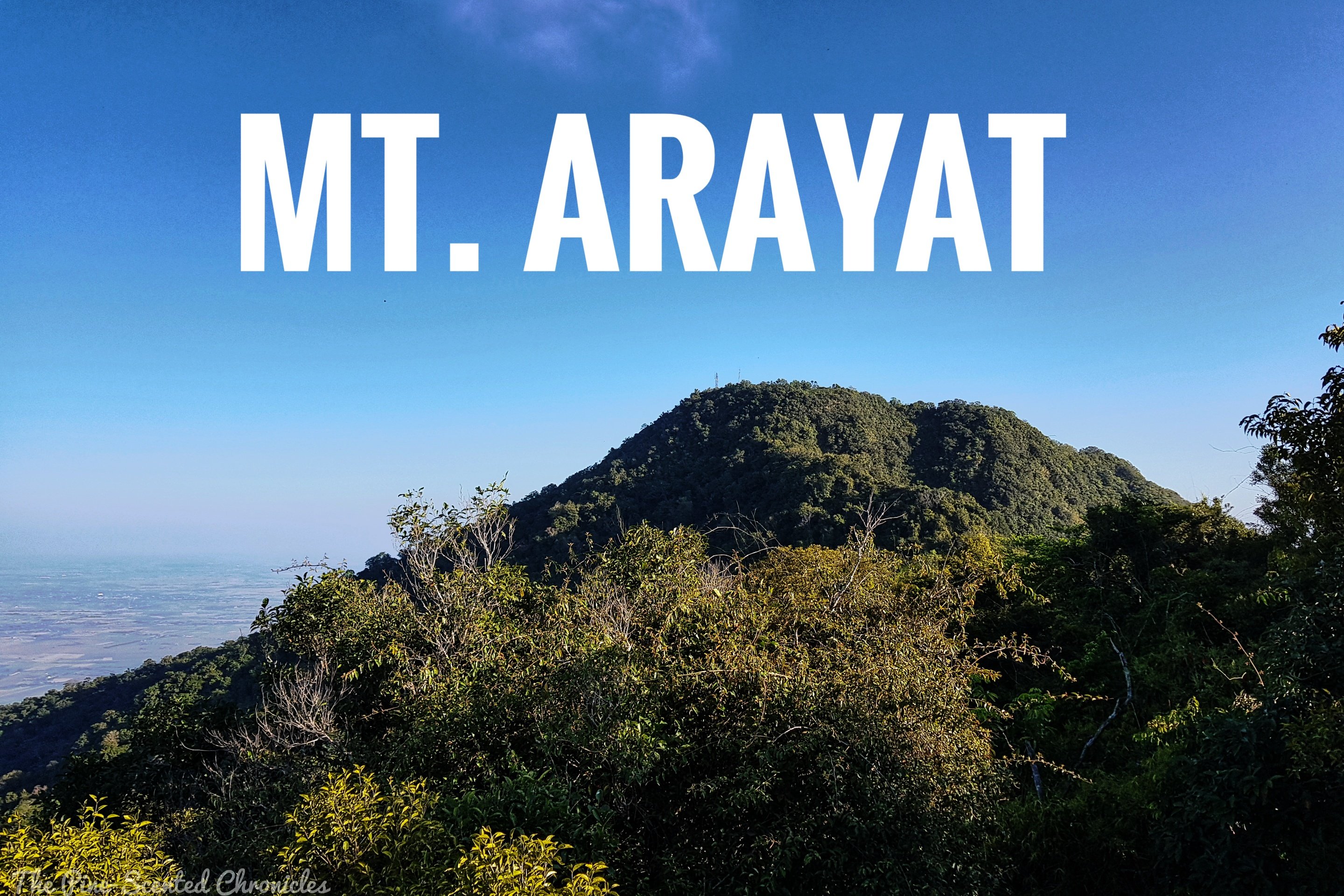 Mt. Arayat: The King of the Central Plains – The Pine-Scented Chronicles
