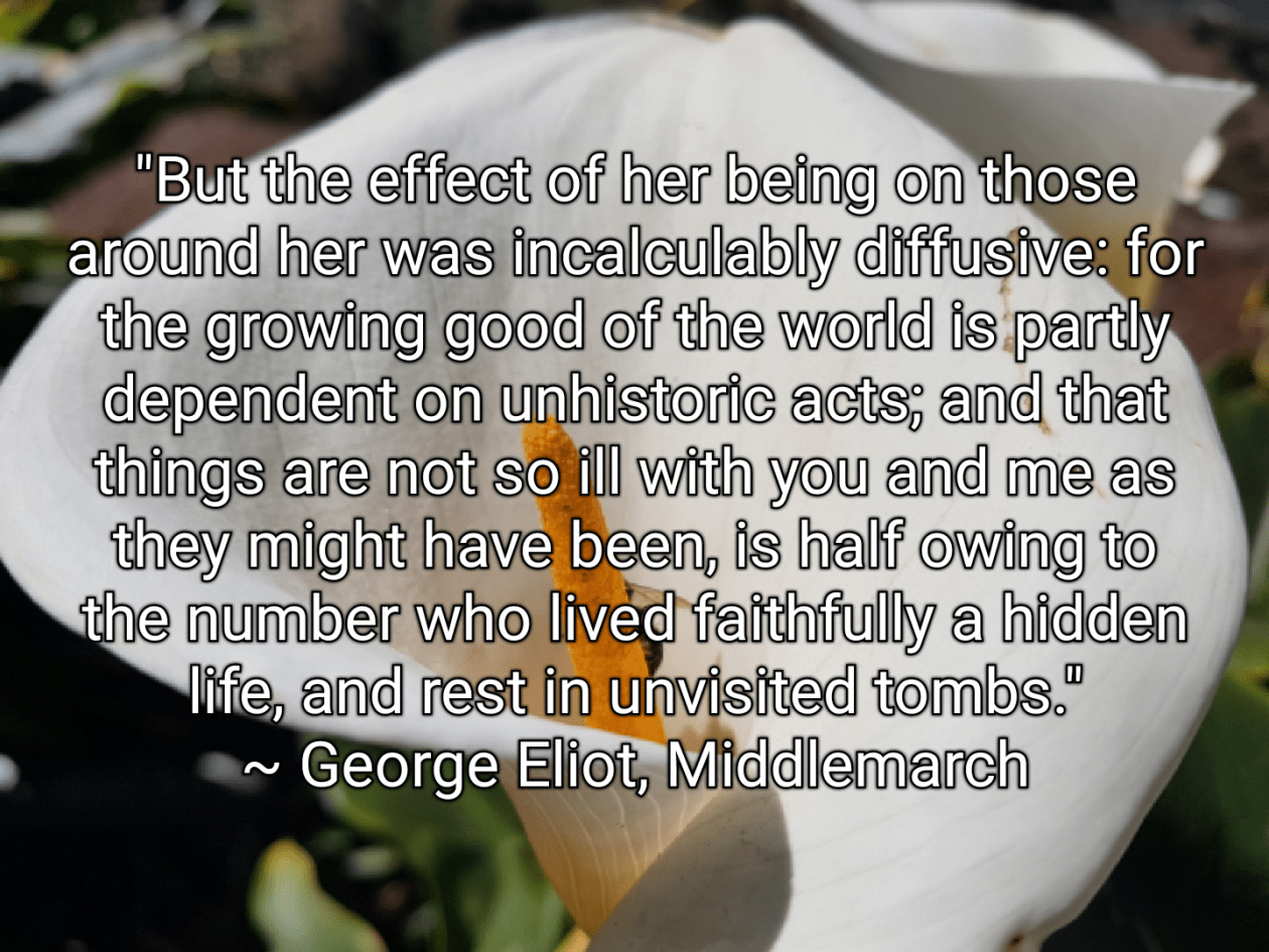 Quotable Quotes # 27: Middlemarch – The Pine-Scented Chronicles