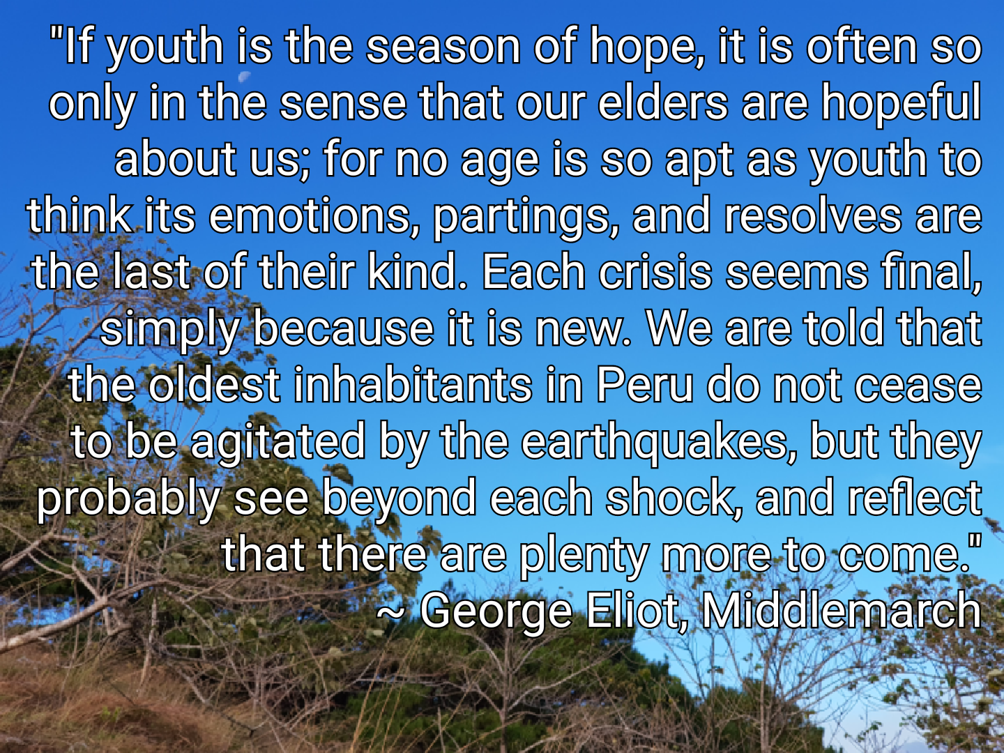 Quotable Quotes # 27: Middlemarch – The Pine-Scented Chronicles