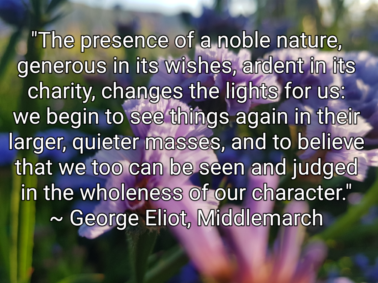 Quotable Quotes # 27: Middlemarch – The Pine-Scented Chronicles