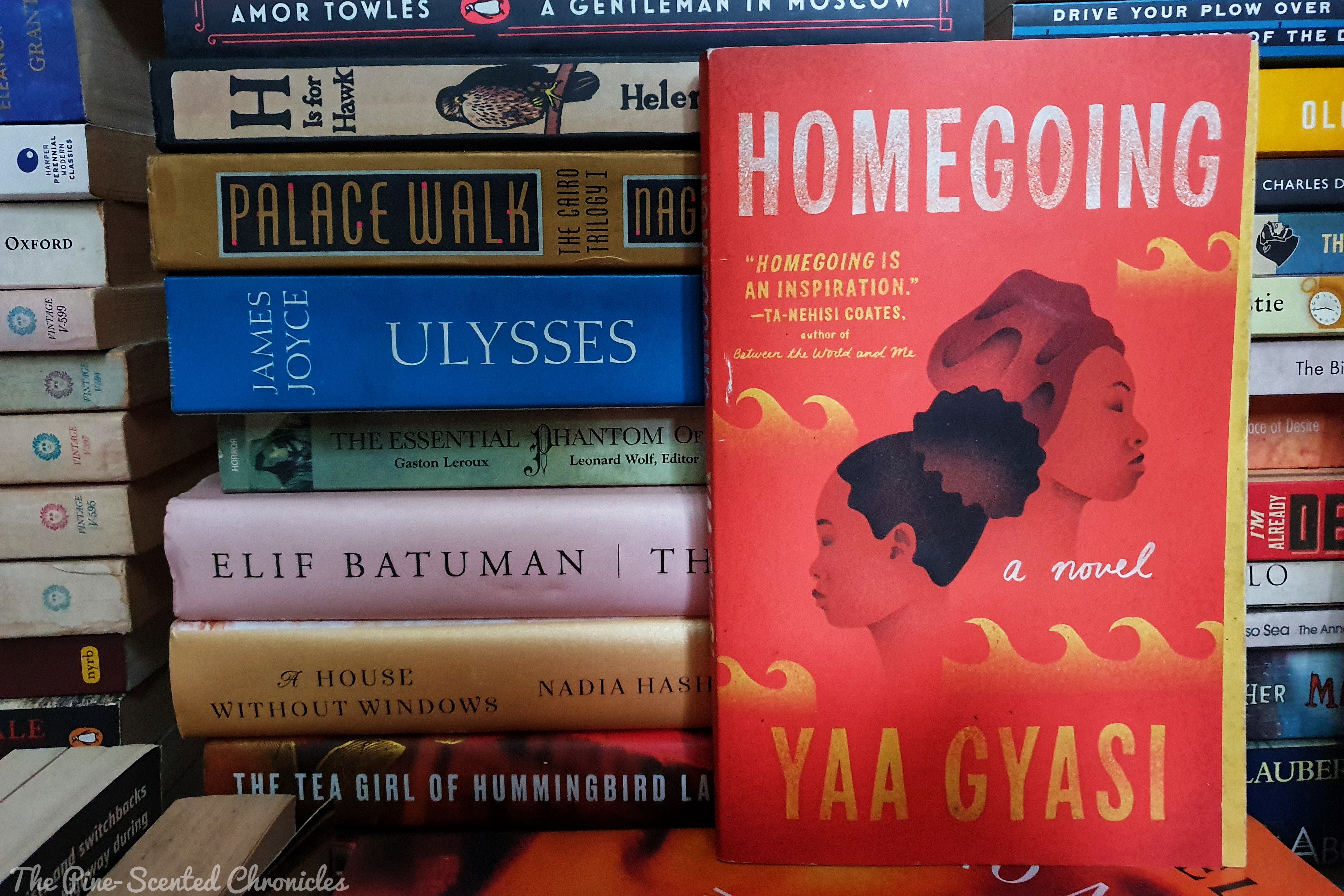 Book Review # 179: Homegoing – The Pine-Scented Chronicles