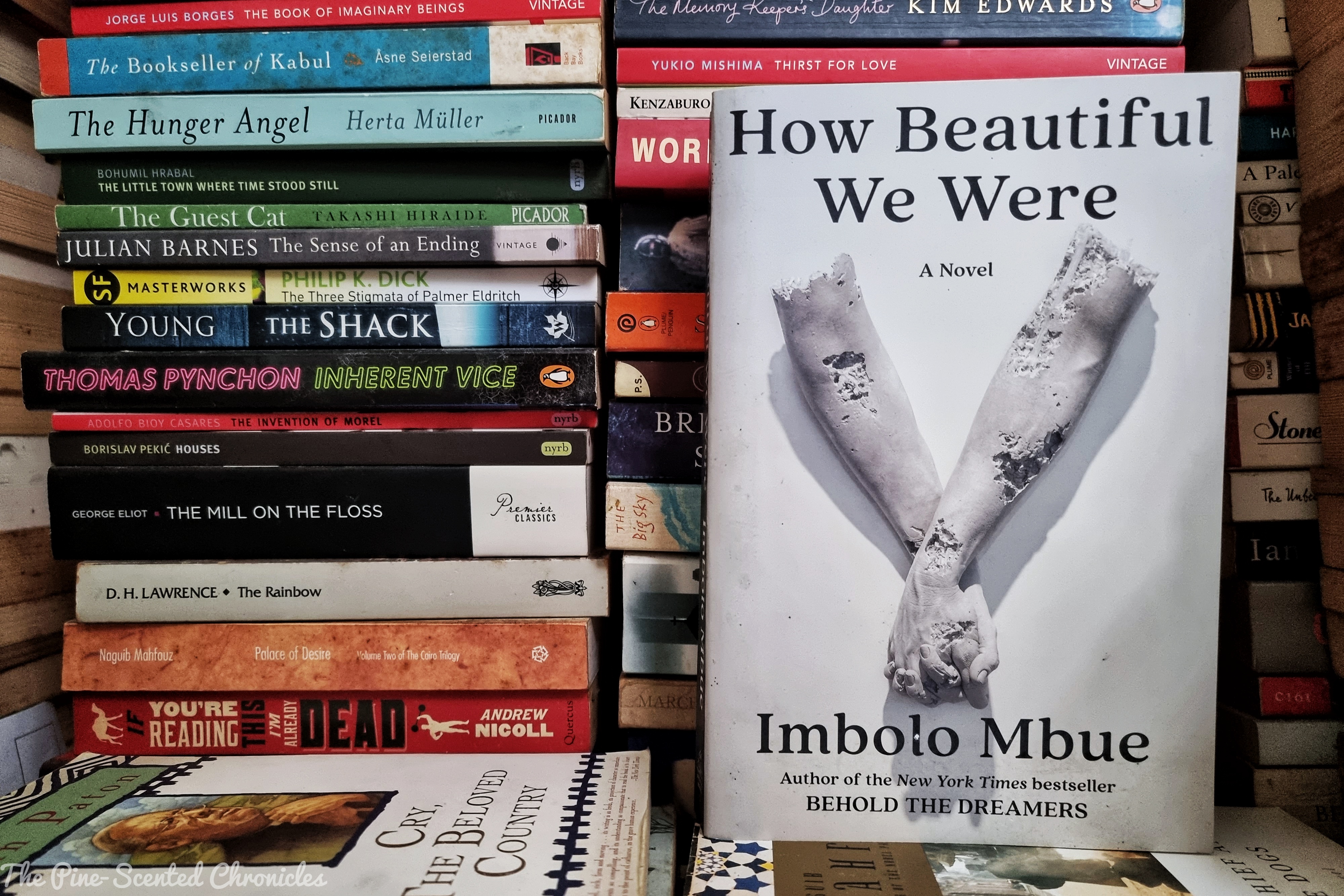 Book Review # 305: How Beautiful We Were – The Pine-Scented Chronicles