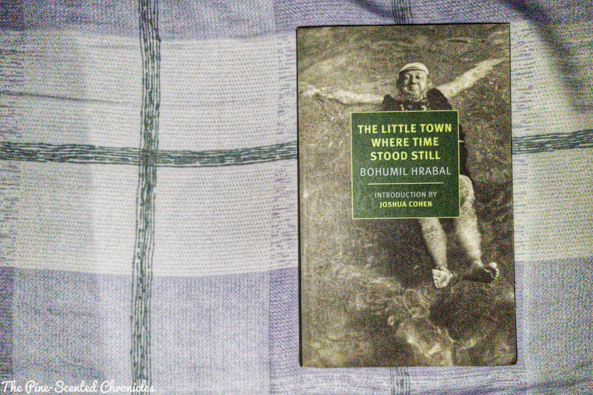 Book Review # 412: The Little Town Where Time Stood Still – The Pine ...